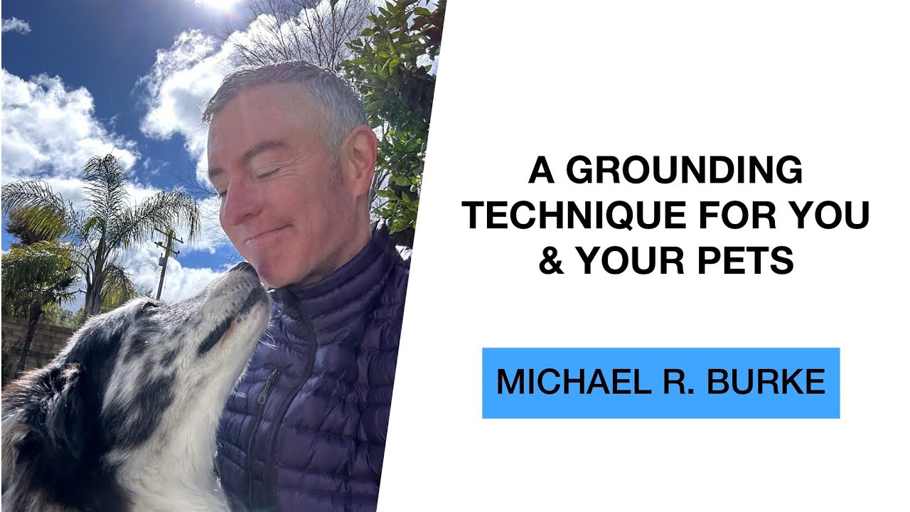 A Grounding Technique for You and Your Pets - YouTube