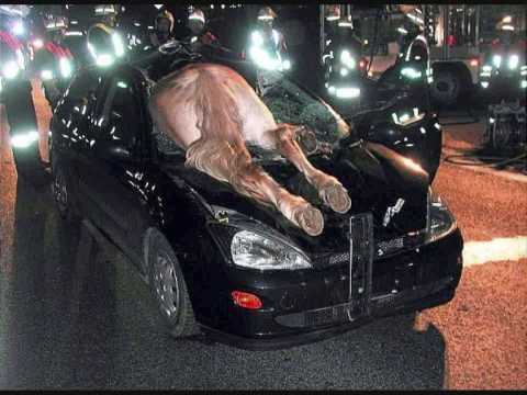 funny and not so funny car crashes - YouTube