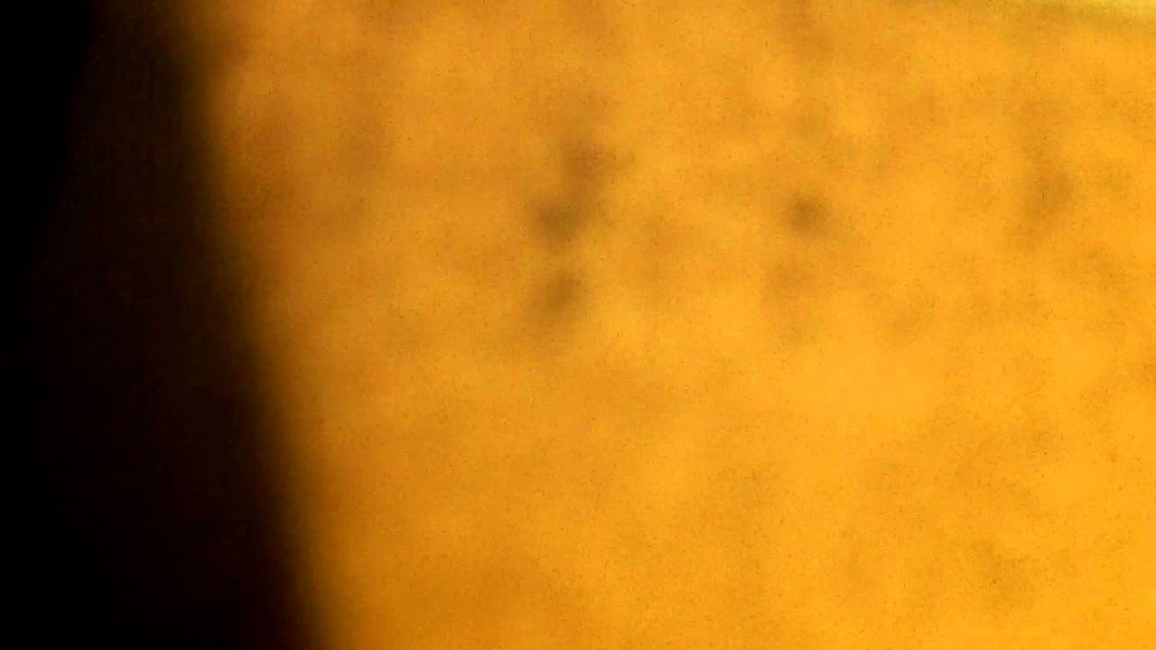 1862 Copper Nickel Indian Head Cent for $10 - YouTube