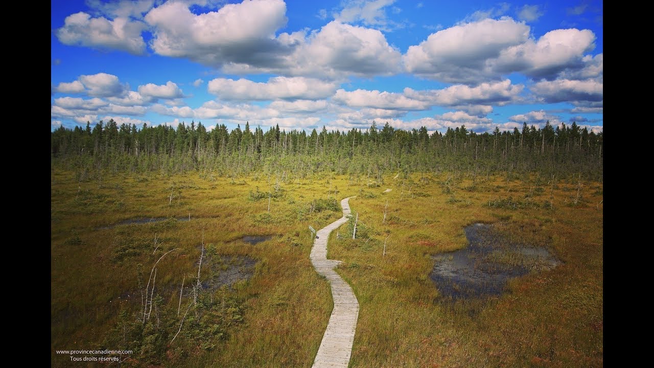 Québec rando: Parc national de Frontenac, le sentier de la tourbière ...