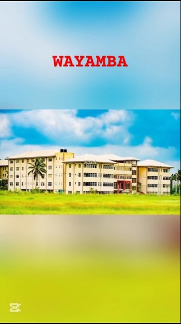 වයඹ සරසවිය😍 ️#Wayamba#university#srilanka #shorts#viral#fyp#foryou# ...