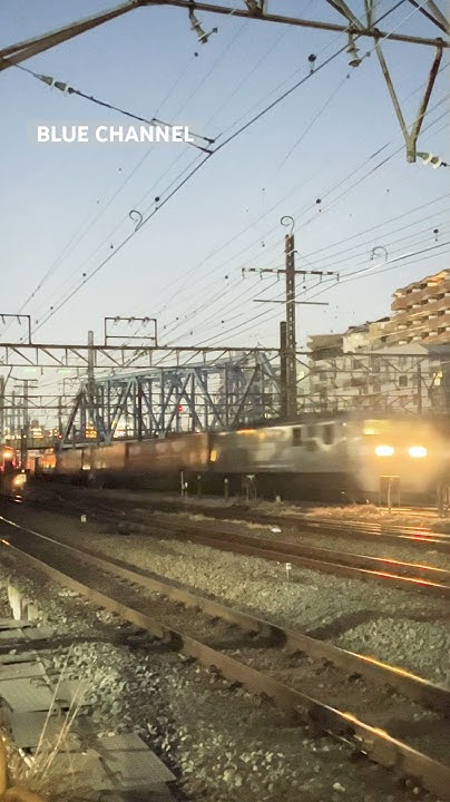 (貨物列車) 2025/03/01 2064レ EF210-168 + コキ25B (百済タ〜東京タ) #Shorts - YouTube