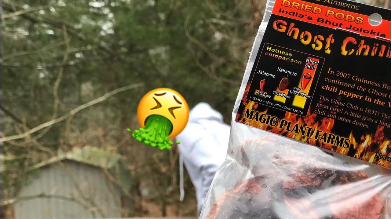 EATING DRIED GHOST PEPPERS*DO NOT TRY THIS AT HOME*VERY HOT* - YouTube