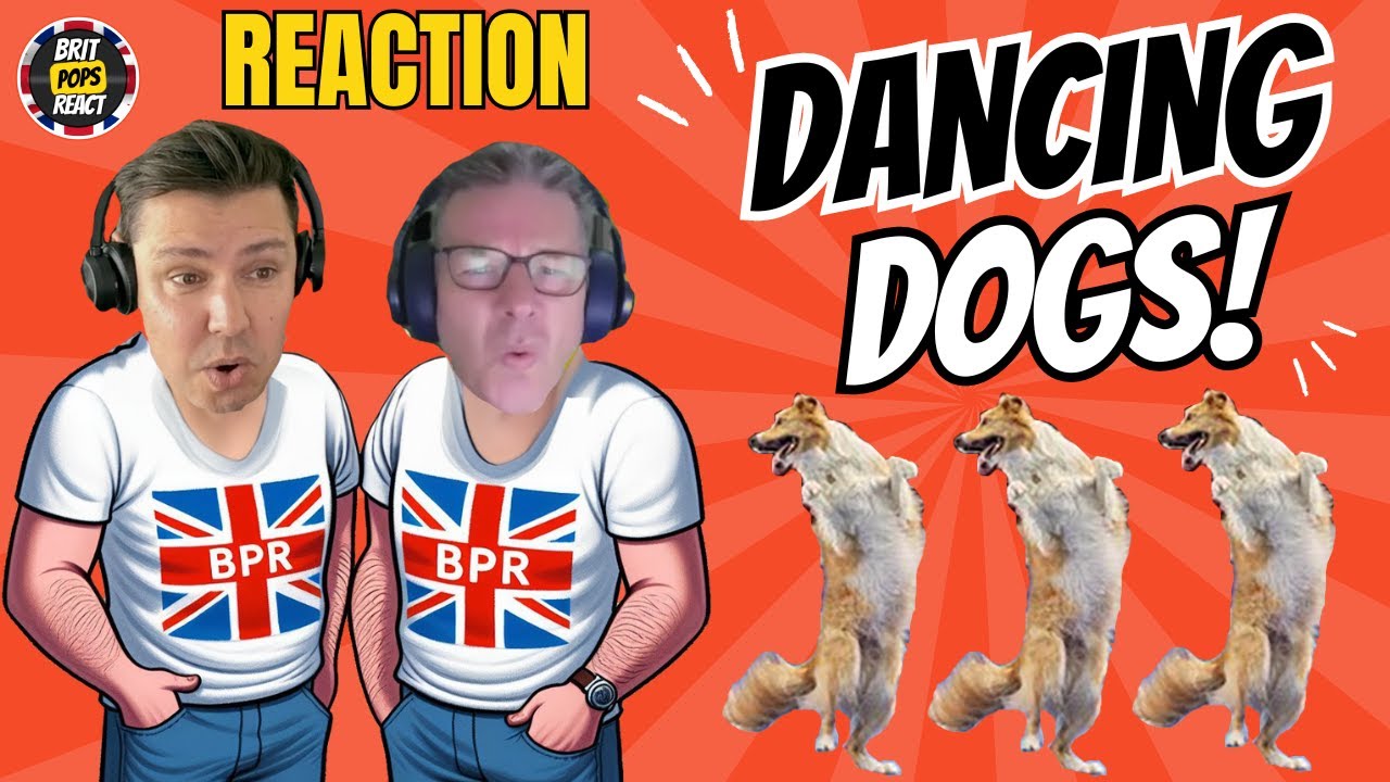 BRIT DADS REACT Dog Dancing World Championship 2022, Anastasiia Beaumont and border collie Yuki ...
