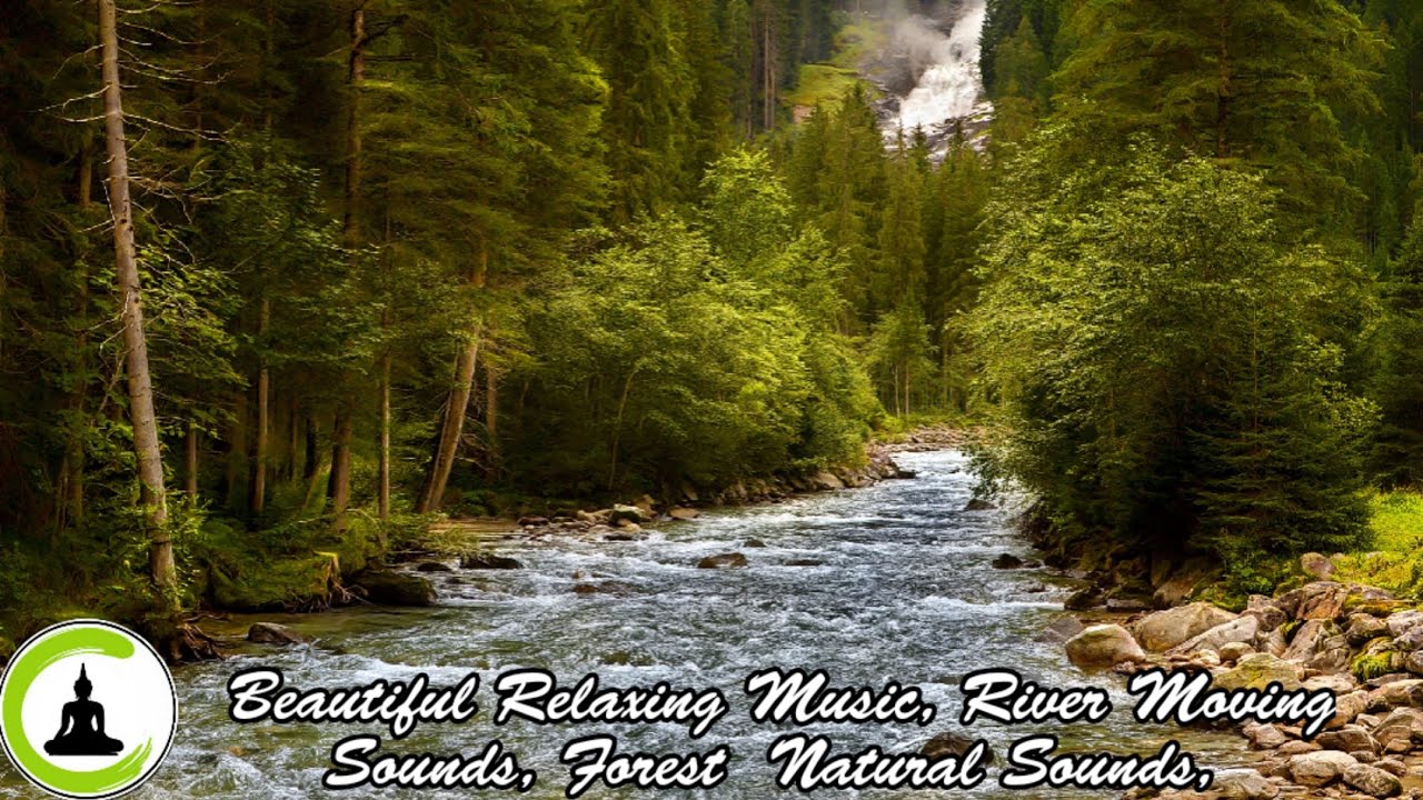 Beautiful Relaxing Music, River Moving Sounds, Forest Sounds, Deep ...