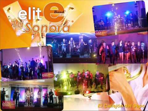 El Callejon del Sapo, Elite Band La Sonora - YouTube