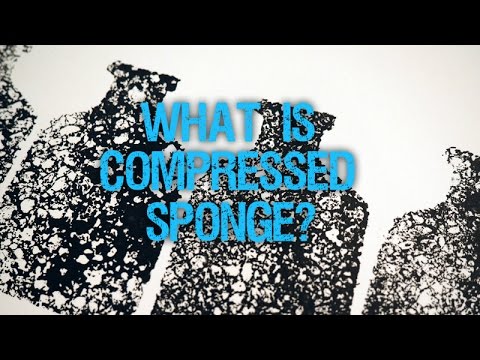 What is Compressed Sponge? - YouTube