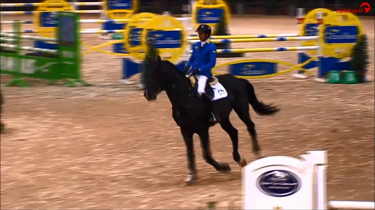 Dominator Z - Stallion Competition - YouTube