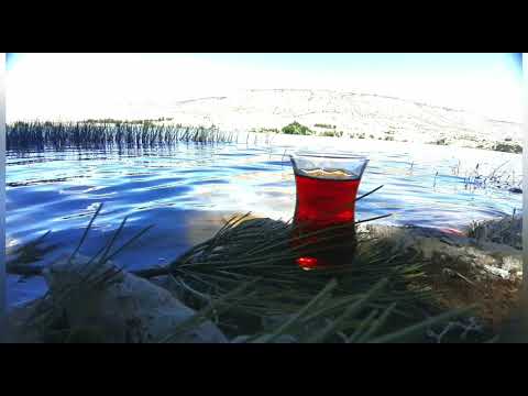 Sonradan görmüş adamın, Soyuna faydası olmaz.