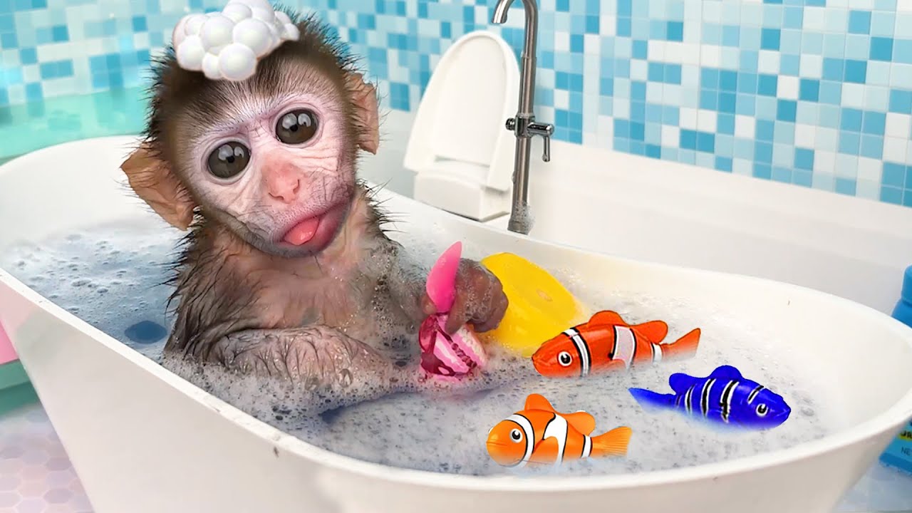 Baby Monkey Chu Chu go fishing and eat watermelon with puppies in the ...
