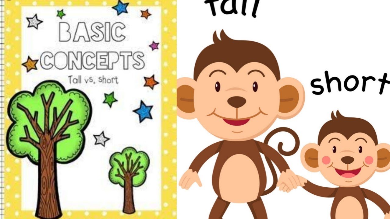 Tall and short concepts - YouTube