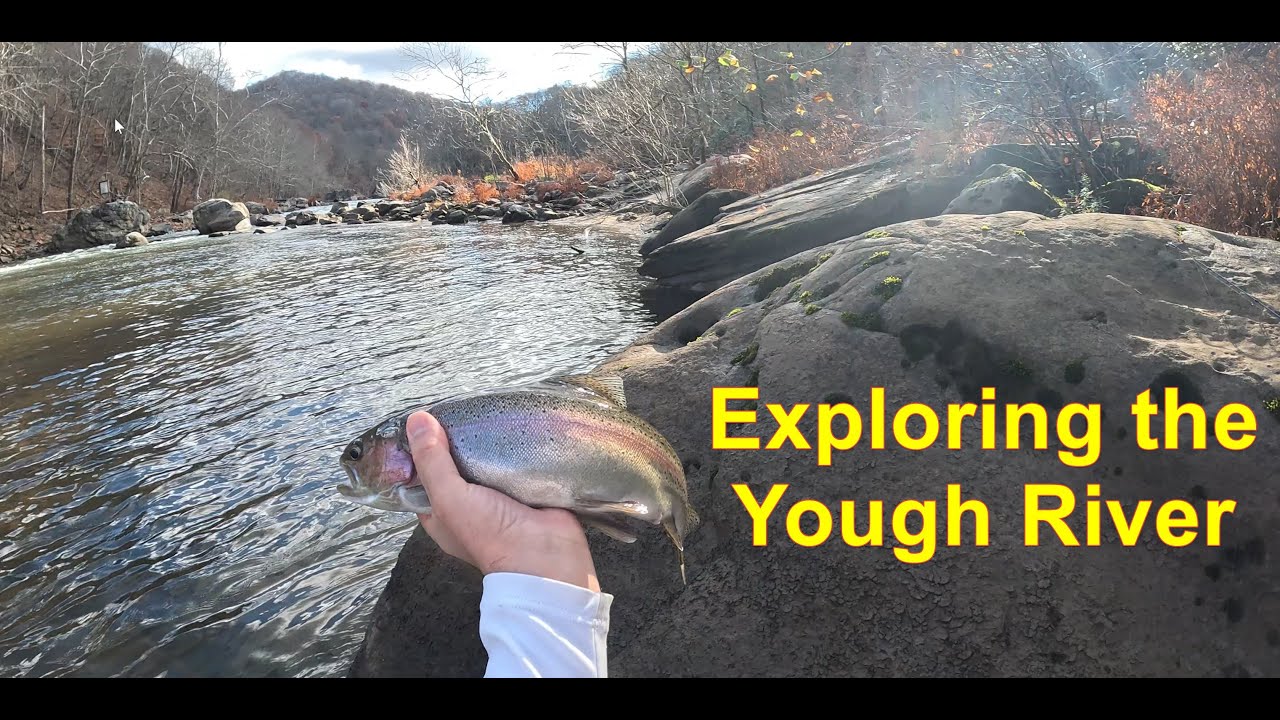 Yough River Exploration - Found Big Trout - YouTube