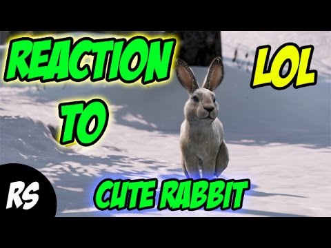 CUTE RABBIT FUNNY REACTION! LOL! LMAO! MUST WATCH! - YouTube