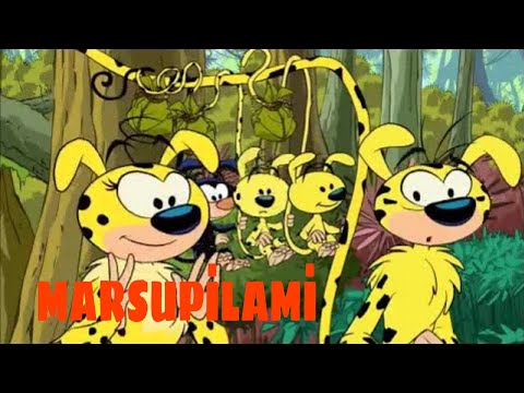 UZUN KUYRUK MARSUPİLAMİ 1.BÖLÜM (TÜRKÇE)