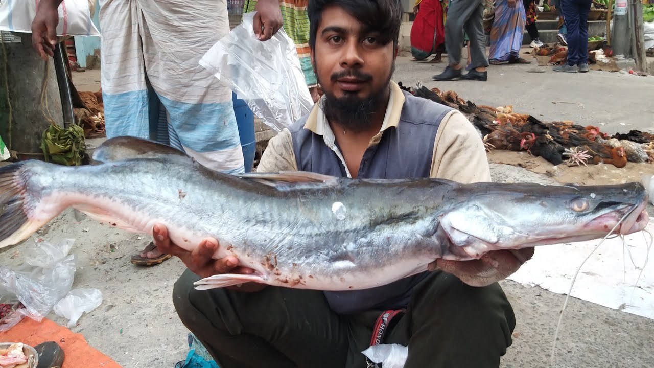 Amazing Fish Cutting Skills. Big Ayar Fish Cutting Skills In ...