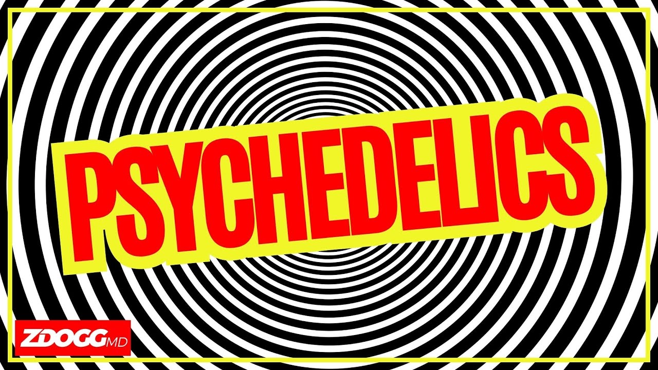 How Do Psychedelics Work? | A Doctor Explains [CLIP] - YouTube