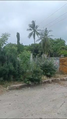 Plot for sale Mikocheni B, facing main road and its 2nd plot from the ...