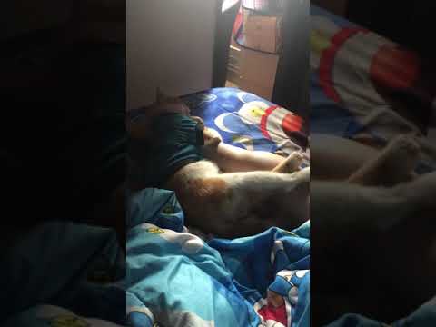 Akibat hasrat tidak tersalurkan