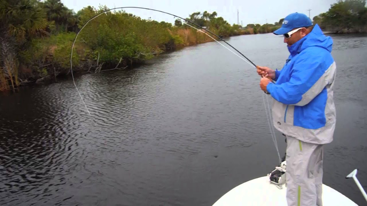 Tarpon on Fly Rod - YouTube