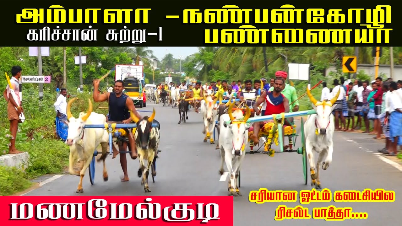 மணமேல்குடி கரிச்சான்-1 Manamelkudi karichan 1 @ vinayagastudio 16-10 ...