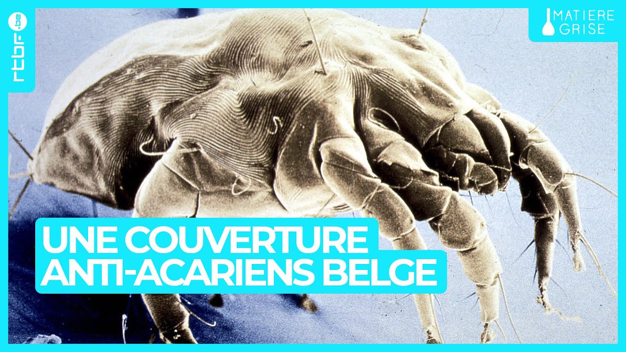 Une couverture anti-acariens belge pour s'en débarrasser - Matière ...
