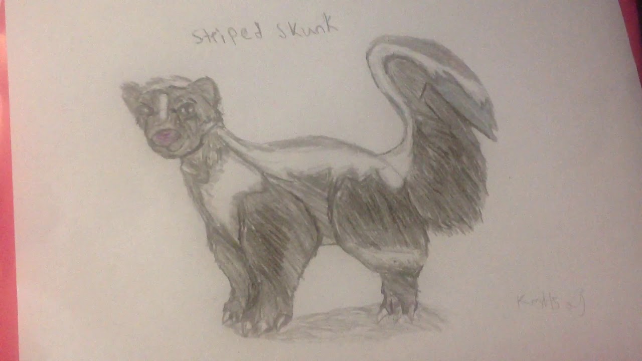 My entry to ultimate animal showdown contest - YouTube