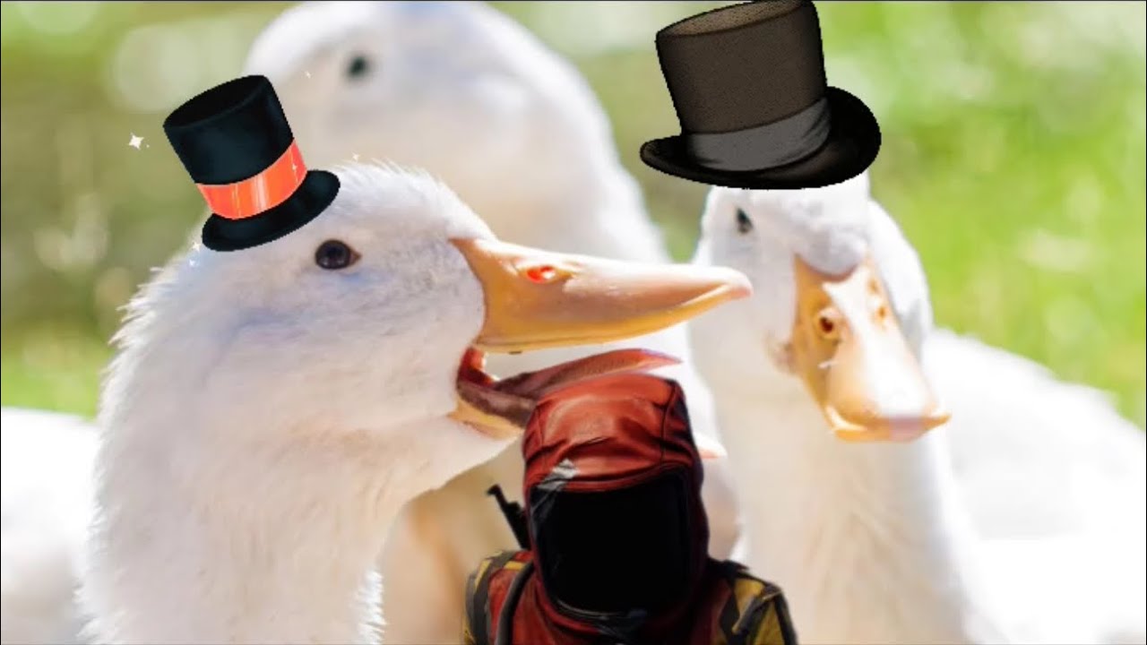 Rust Duck game got racist very fast (earrape) - YouTube