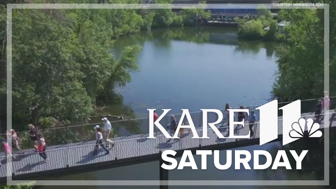 New "Treetop Trail" opens at the Minnesota Zoo - YouTube