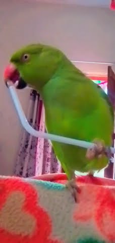 🥰🥰🥰(1) - YouTube