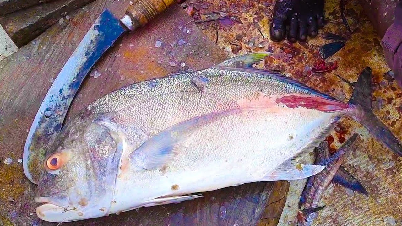 PAARAI FISH CUTTING SKILL | VANAGARAM FISH MARKET | CHENNAI - YouTube