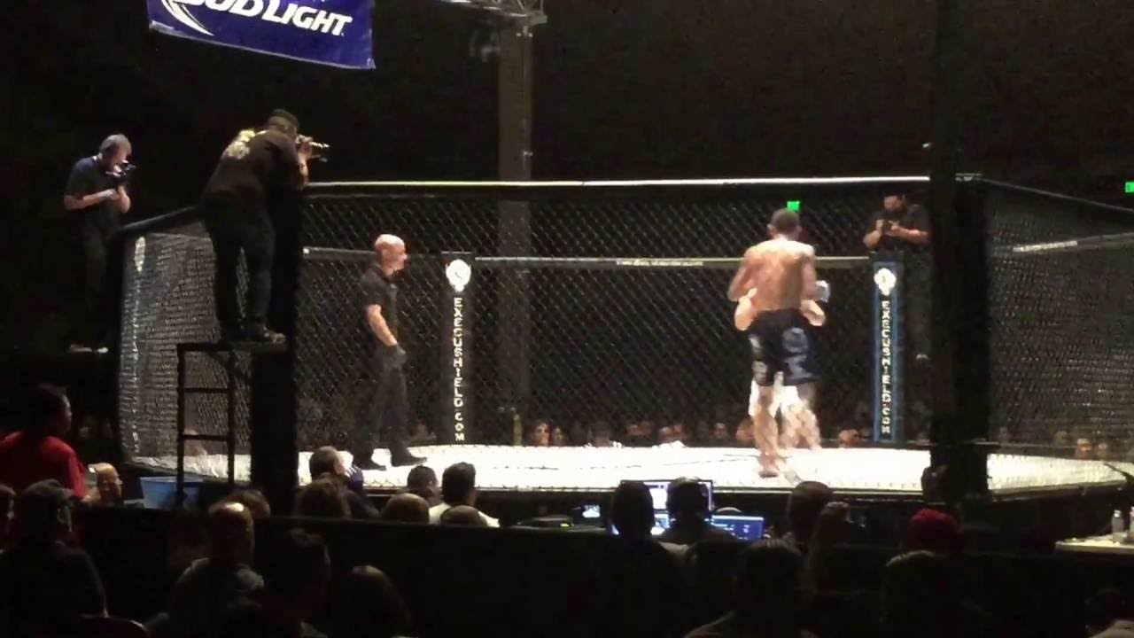 Dragon House Cage Fight Series MMA - YouTube