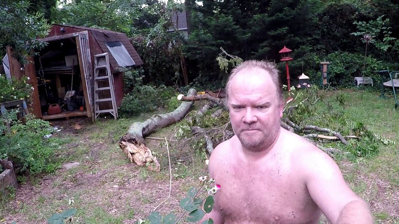 Removing the Fallen Branch Debris - YouTube