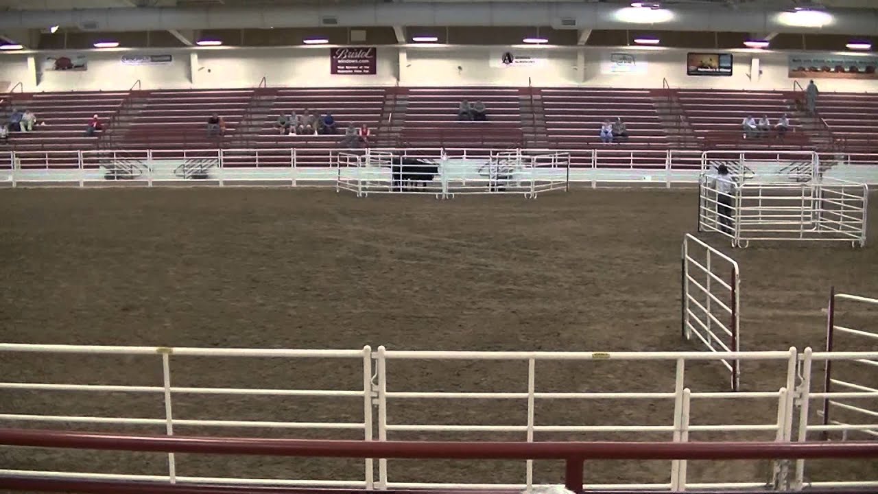 Campbell Forsyth with CKF Meg - YouTube