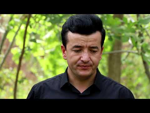 шахзоди Даврон мехмони узбекистон