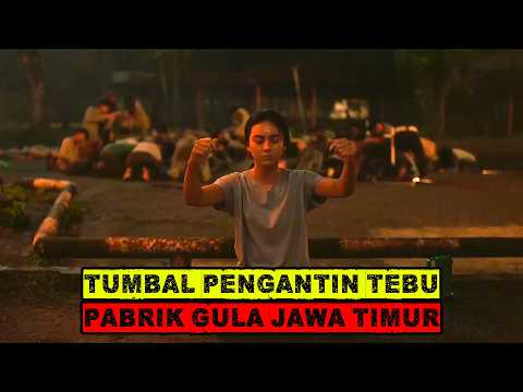 DALBOH ‼️ PENUNGGU PABRIK GULA JAWA TIMUR