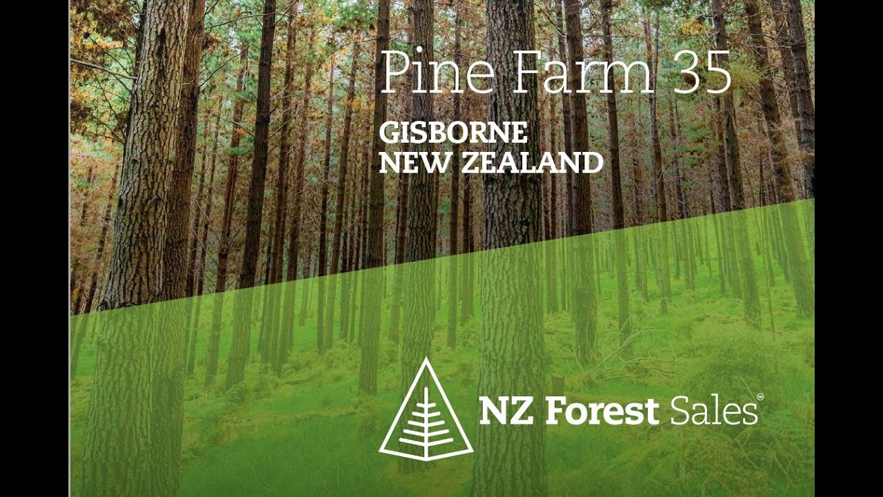 Pine Farm 35 - SOLD - YouTube