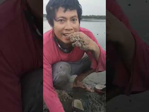 TRY MO MASHHHARAPP - YouTube