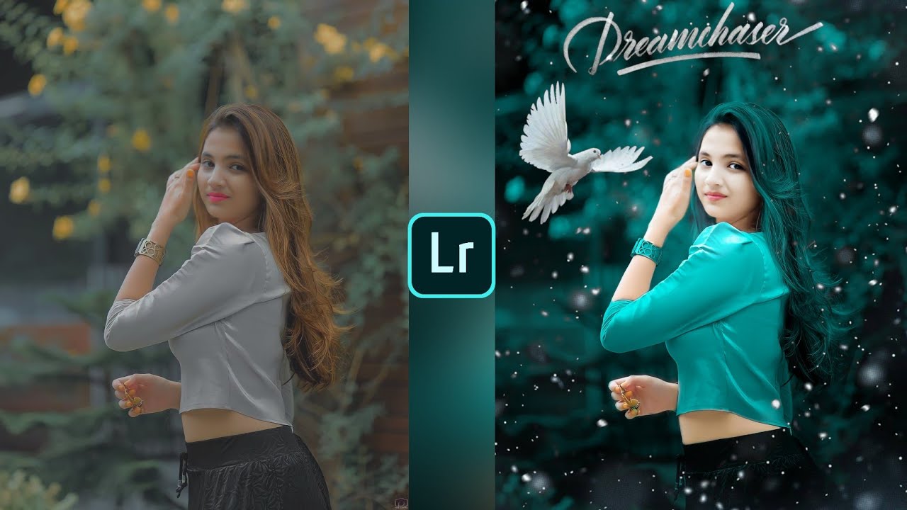 Lightroom bird effect photo editing tutorial | Lightroom background ...