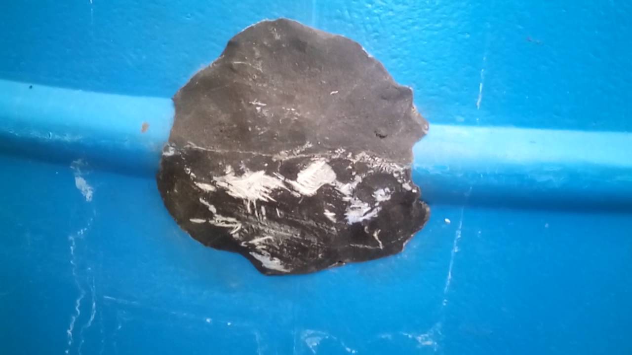 Mseal After Applied - YouTube