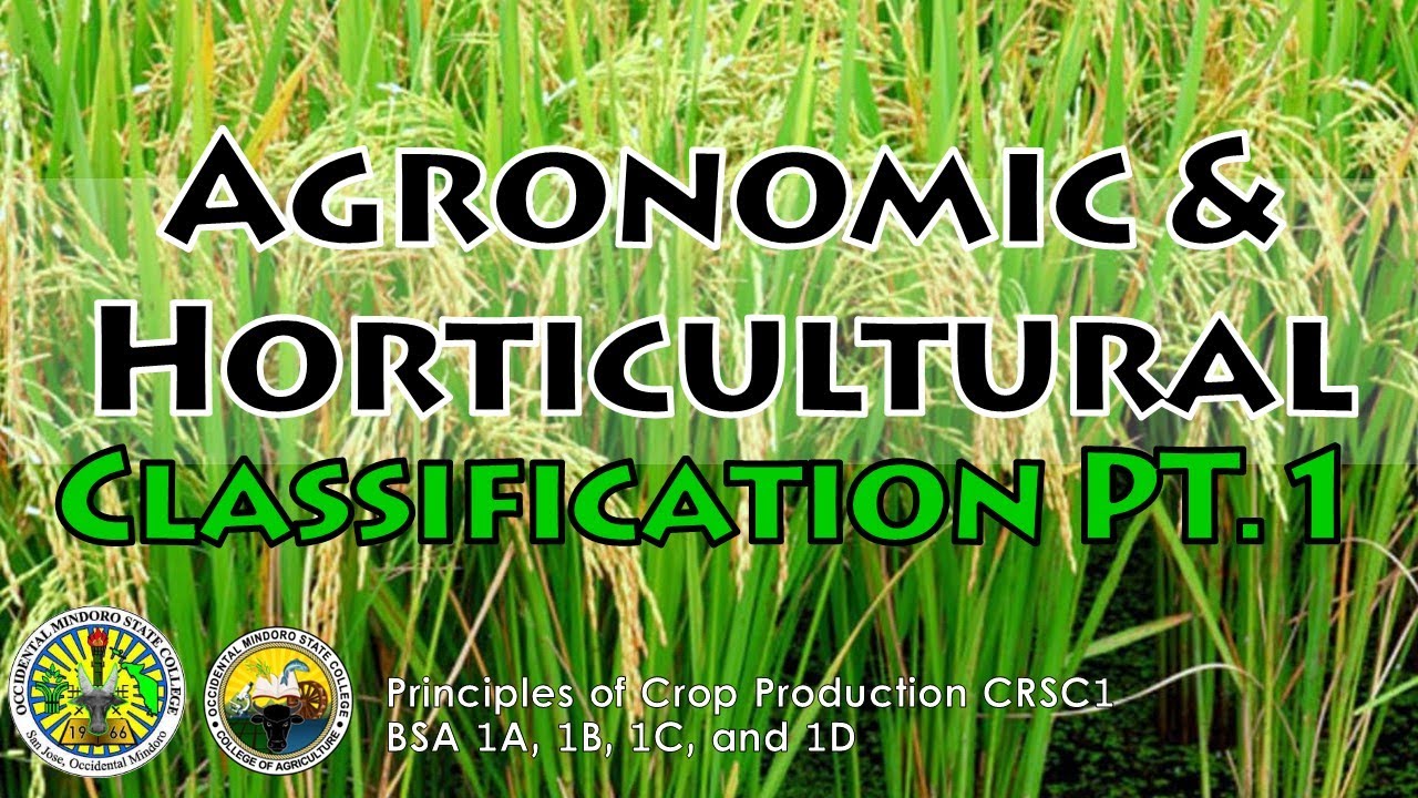 Lesson 2 - Agronomic Classification - YouTube