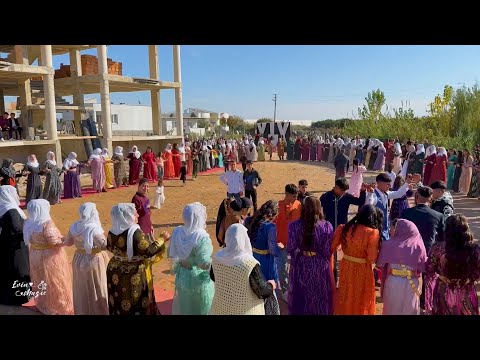 Halayın Güzelliği Van Çünük Aşiret Düğünü Mersin Evin Müzik