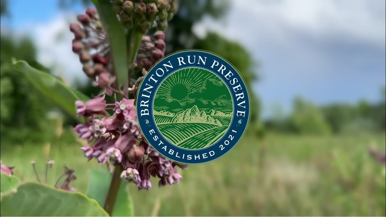 Fallow Field to Pollinator Meadow: Brinton Run Preserve Seed A Legacy ...