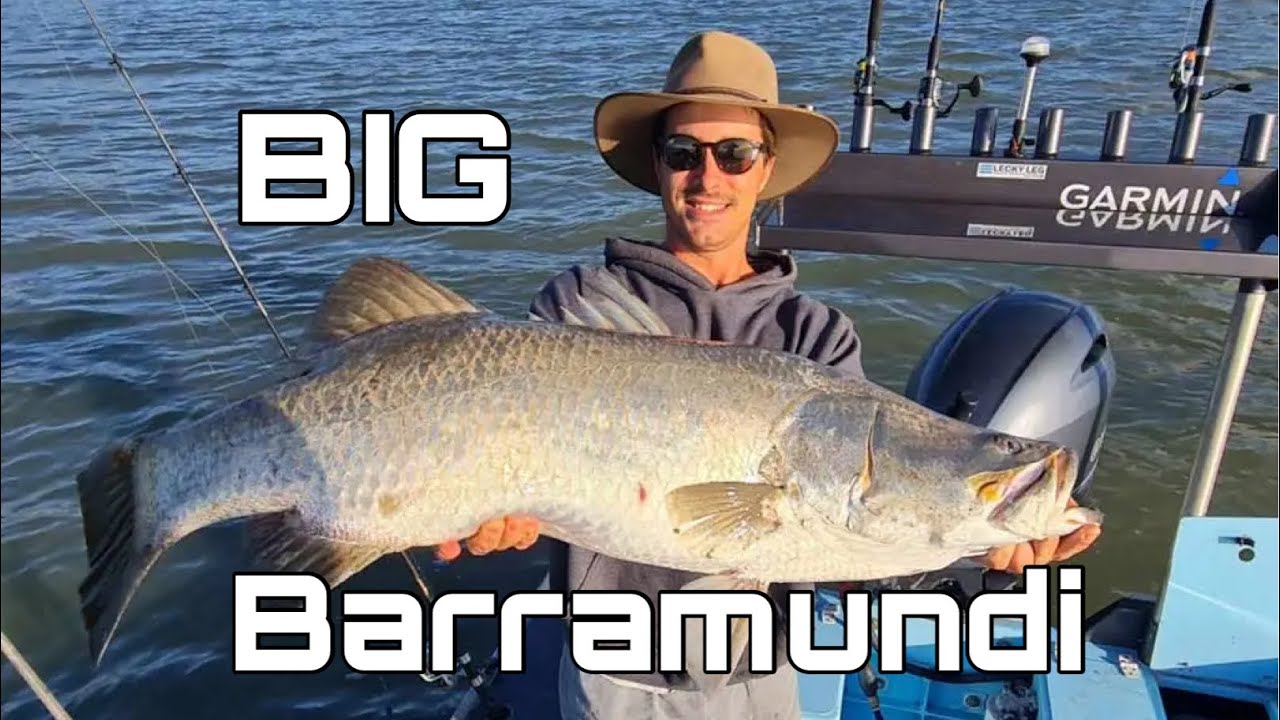 Top 3 INSANE Barramundi Catches Caught on Camera - Monster Fish! - YouTube