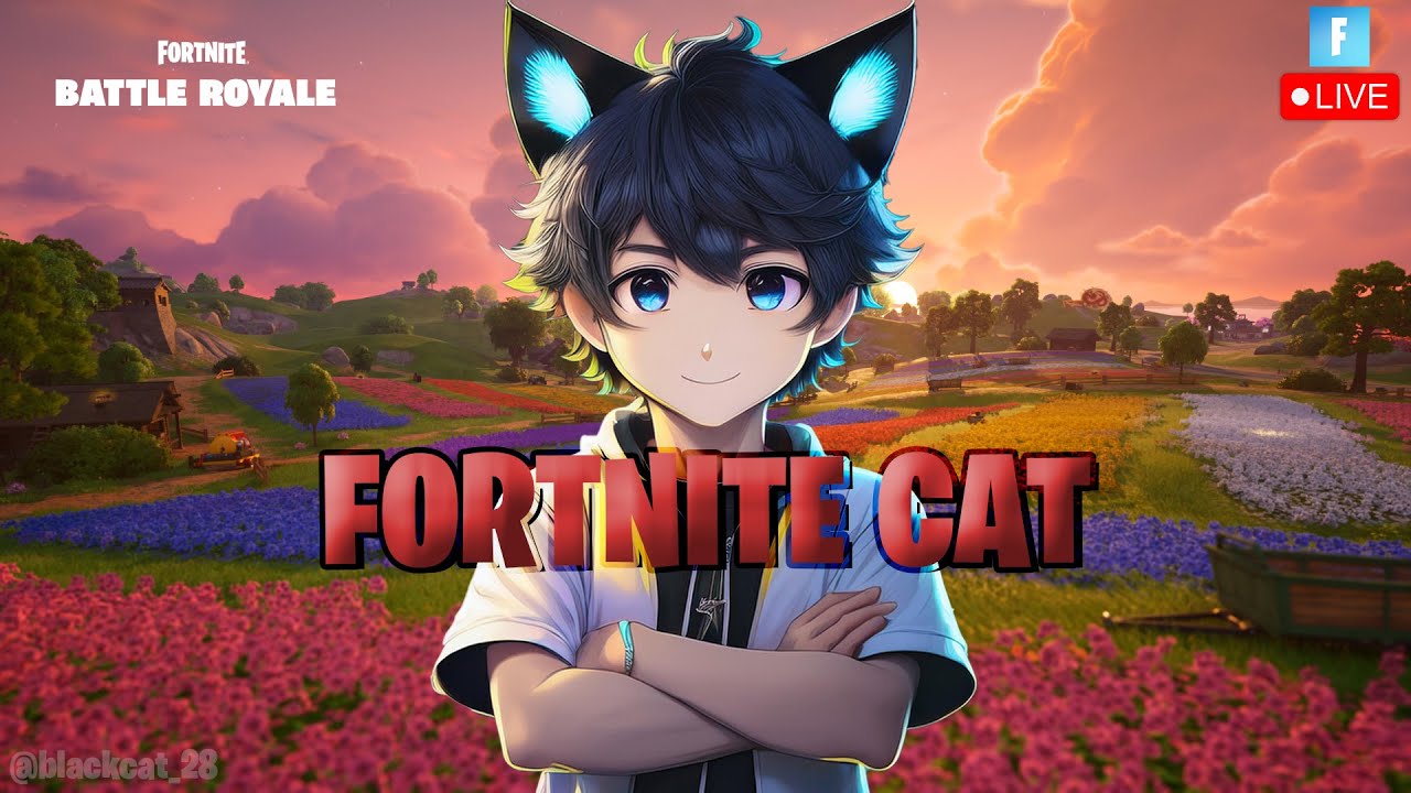IL Gatto PIU' FORTE SU FORTNITE 🔥🏆 - YouTube