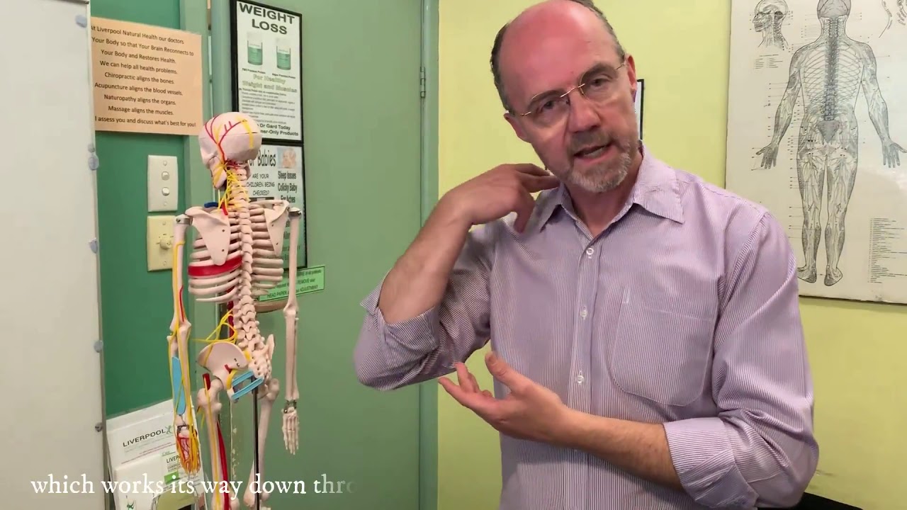 Dr Gard talking about Elbow Pain - YouTube