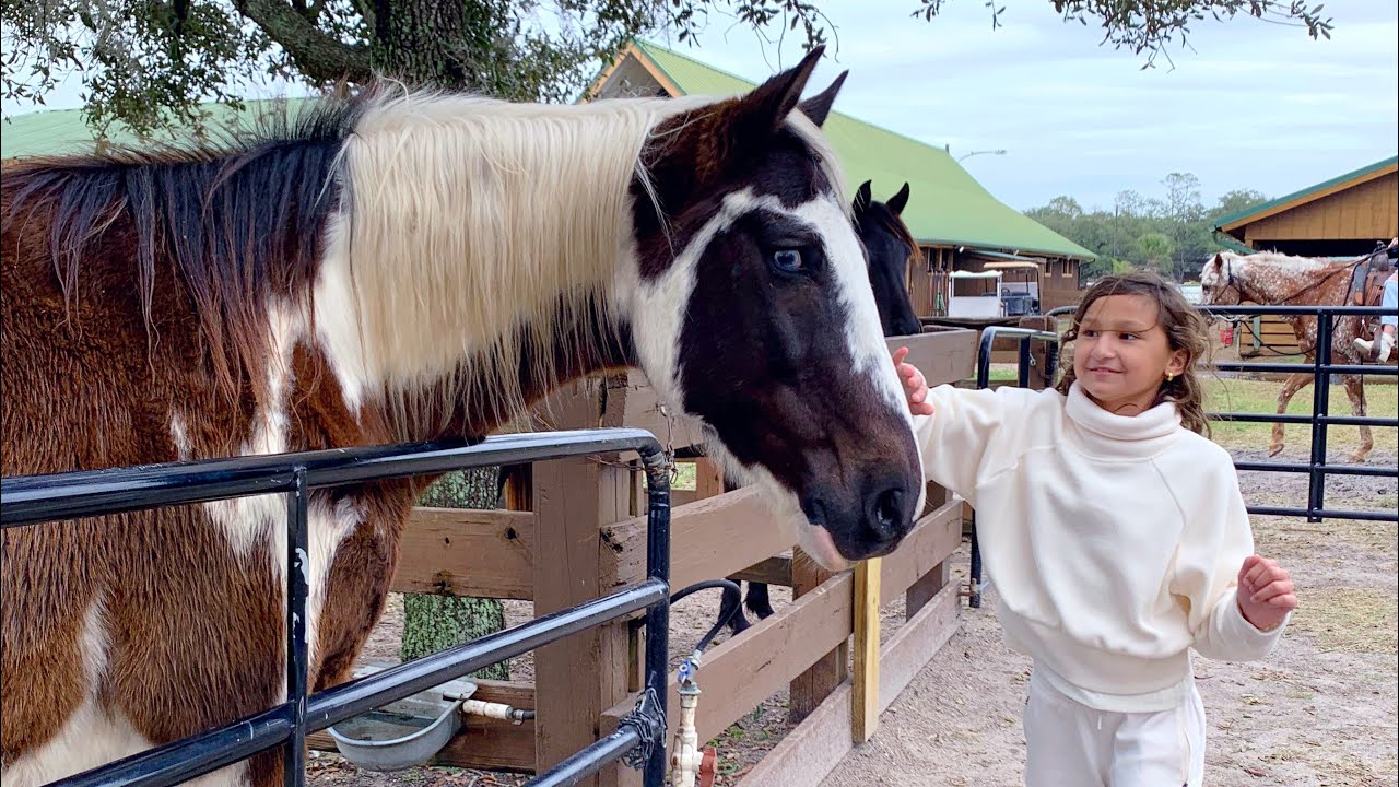Exploring Westgate River Ranch & enjoying the animals at their Petty ...