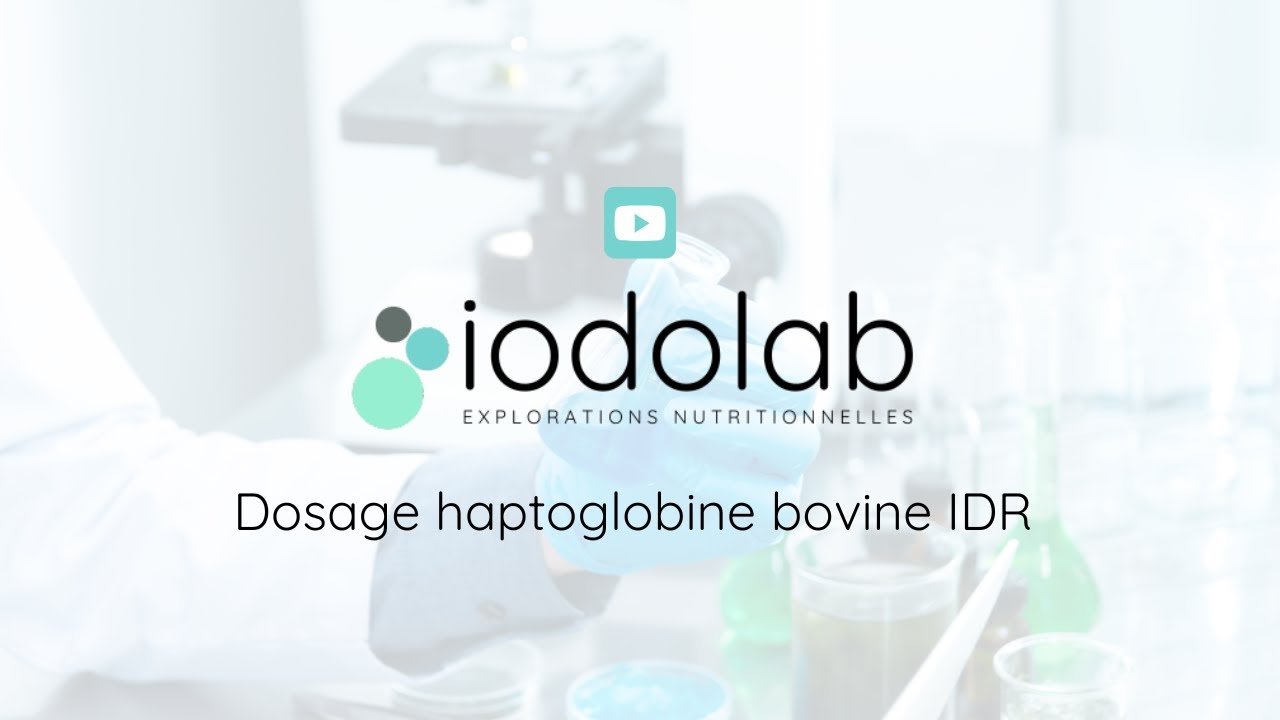 iodolab dosage haptoglobine bovine IDR - YouTube