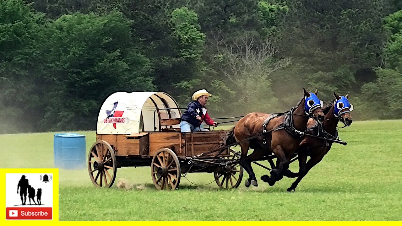 Classic Wagon Race - The 1836 Chuckwagon Races 2022 | Sunday - YouTube