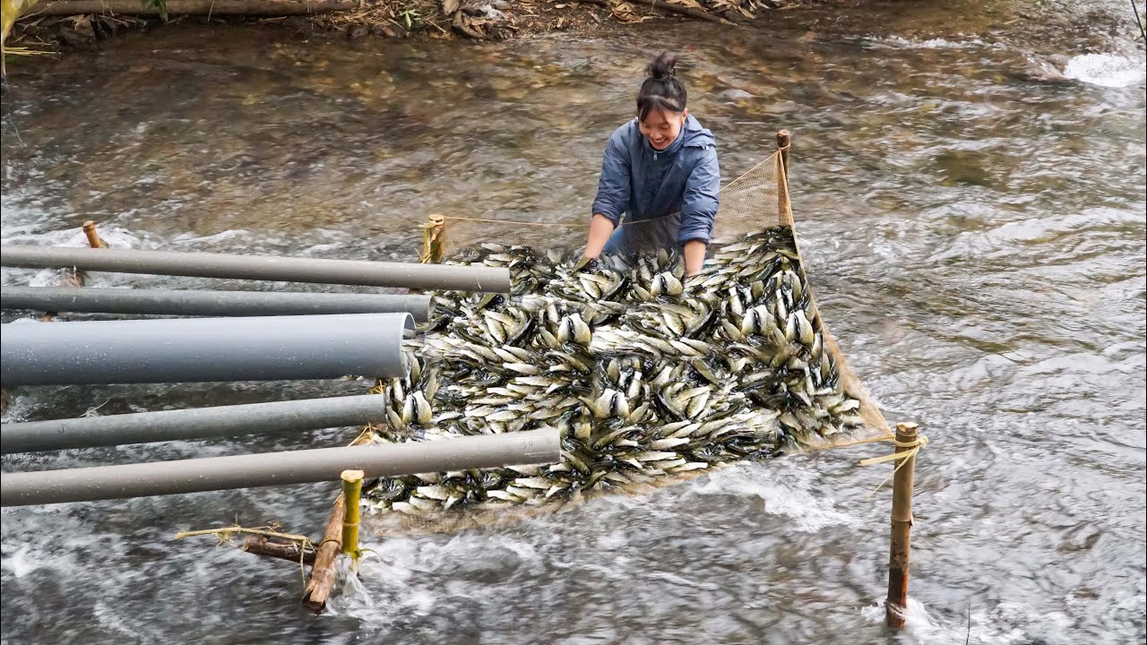 How to Make Simple Fish Trap From Plastic Pipes, The SECRET to Catching ...