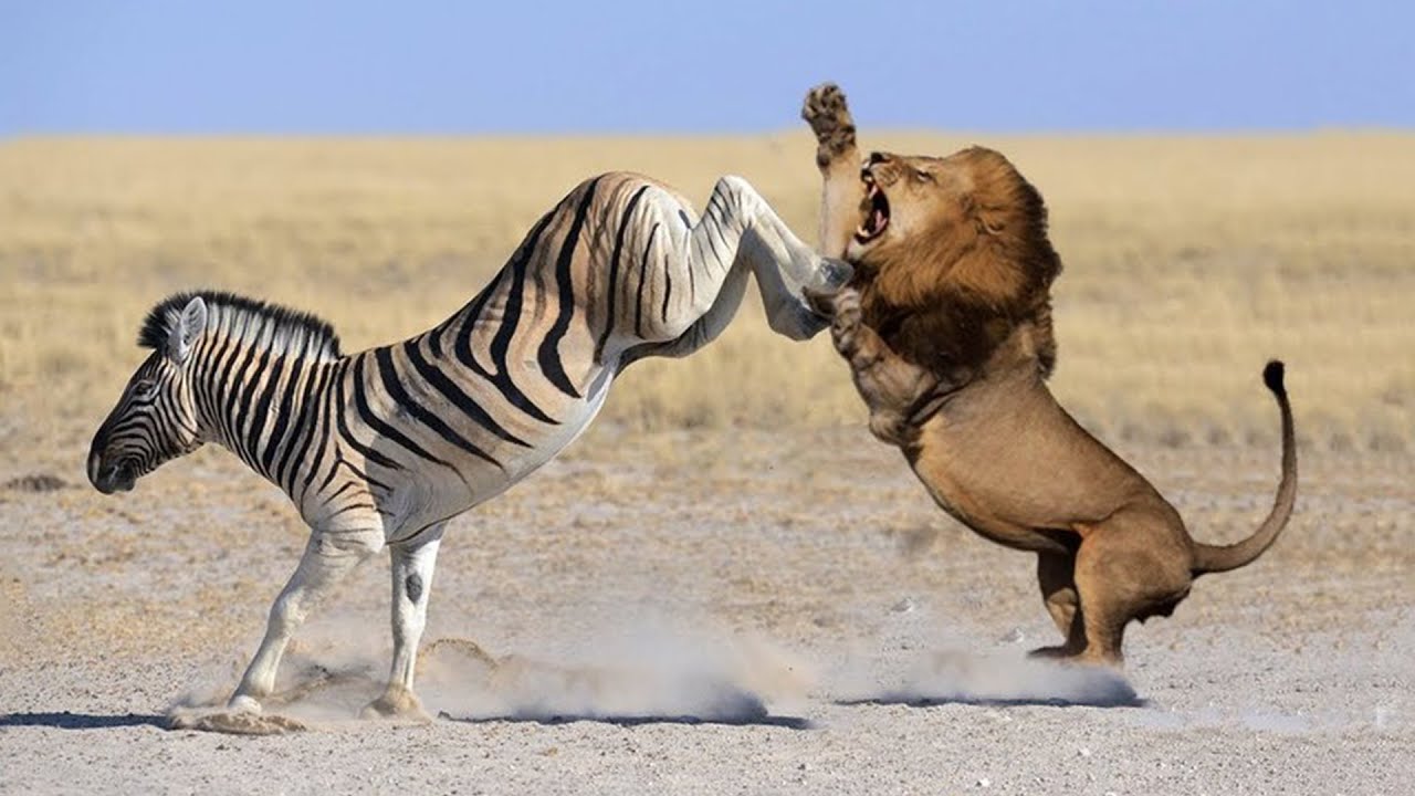 Wild World Discoveries: Giant Creatures in the Race for Survival ...